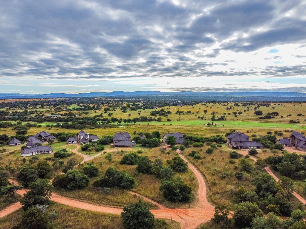 The Pangolin Collection